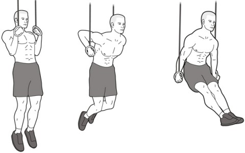 How to do a Muscle Up - Fit for Life