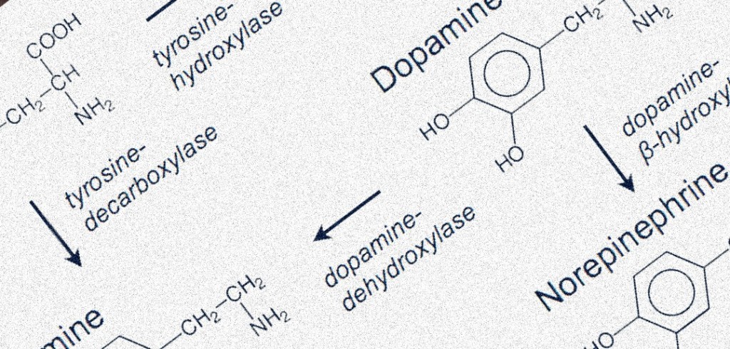 EC Stack Review - Fit for Life